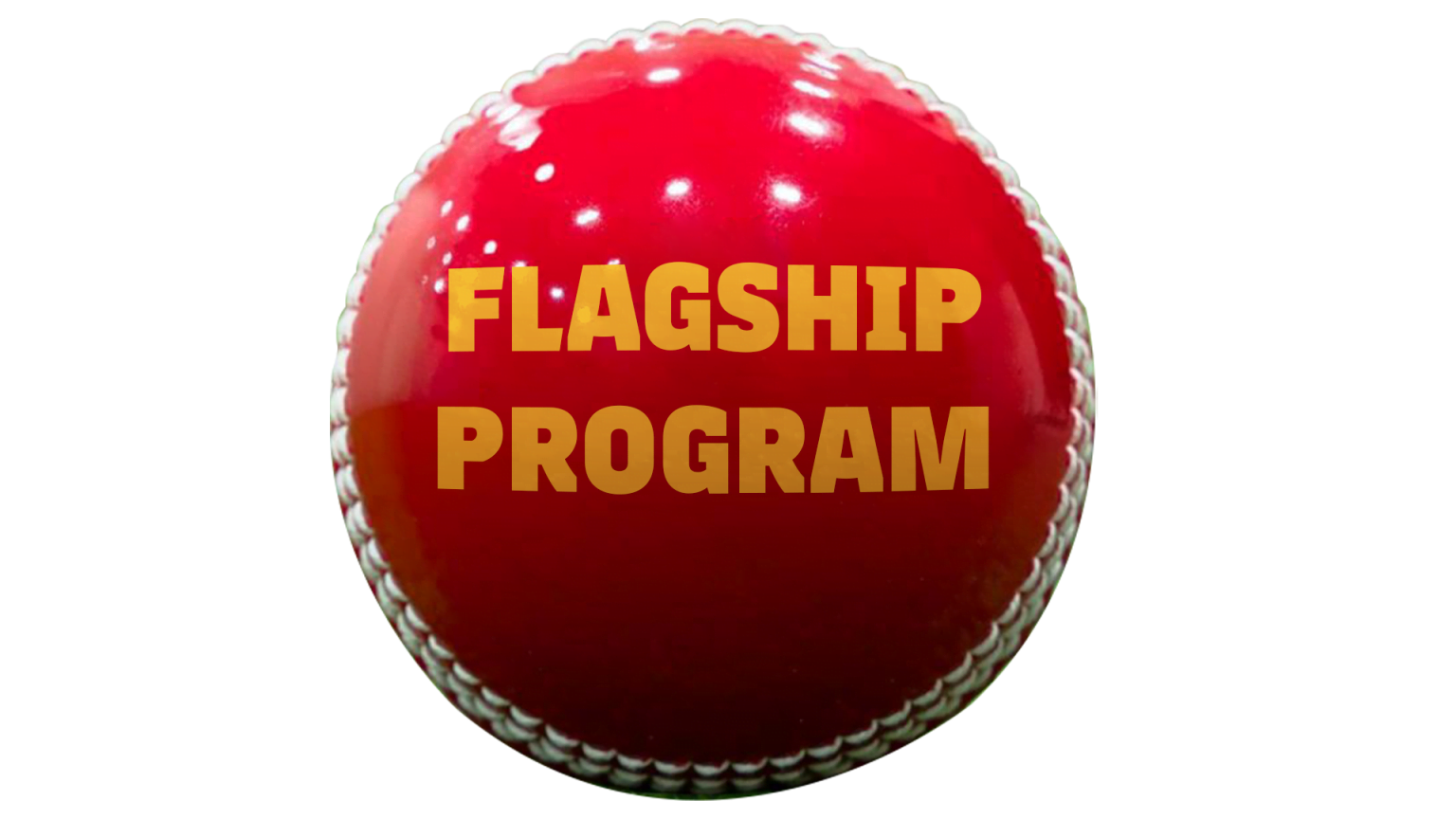 Delhi Capitals Cricket Academy – The Official Website Of Delhi Capitals ...